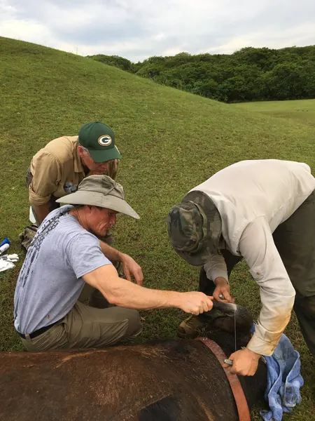 Field Engine | Wildlife Research & Management
